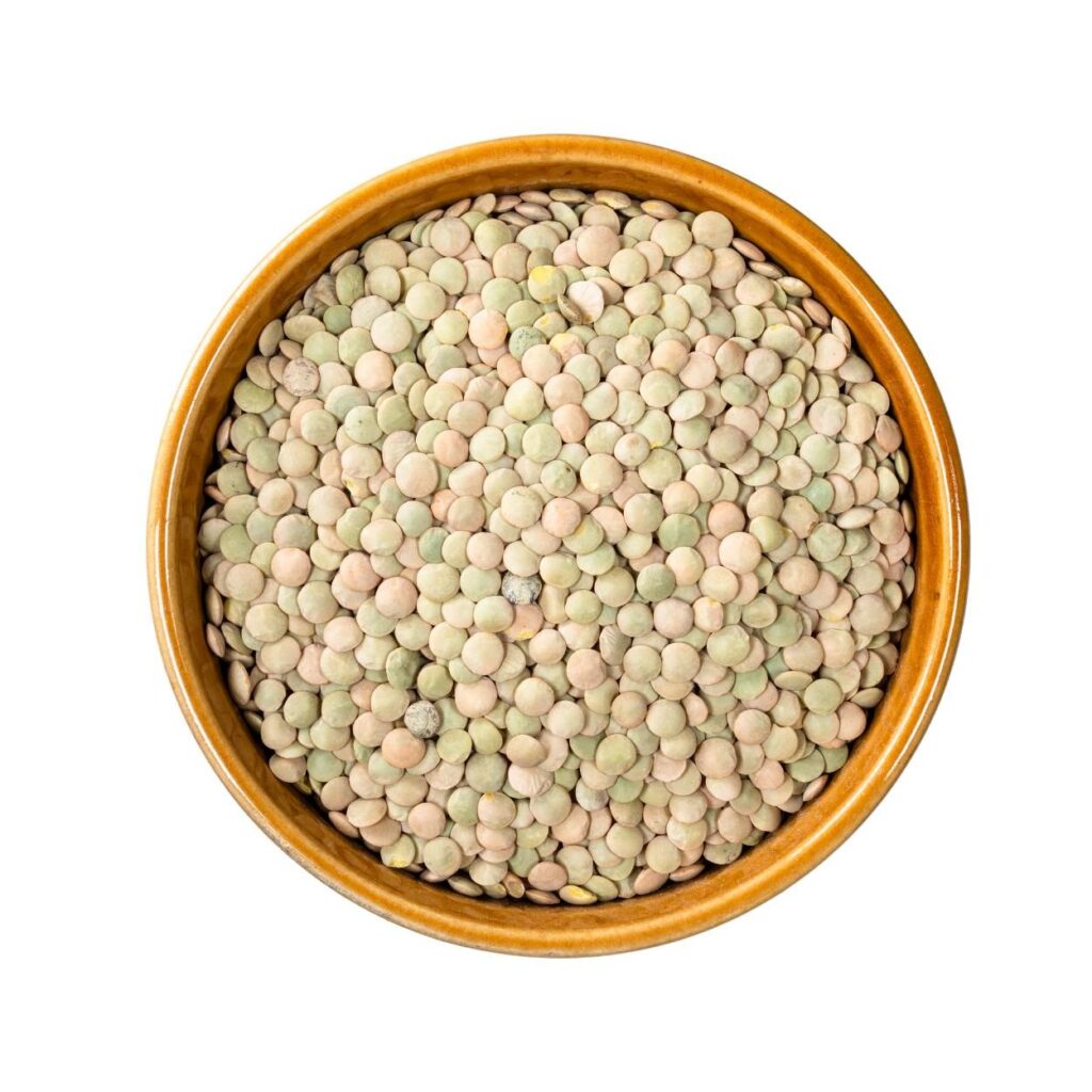 Bulk Lentils - Green | Whole - Wholesale Importers