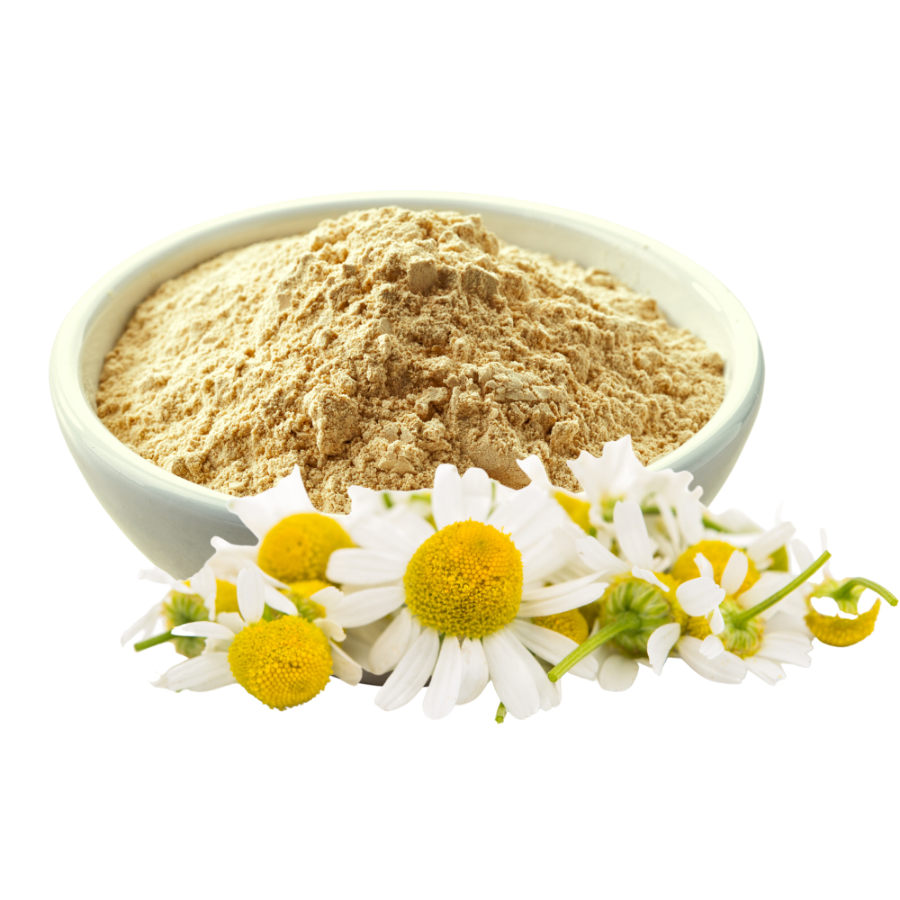 Bulk Chamomile - Powder | Air-Dried - Wholesale Importers
