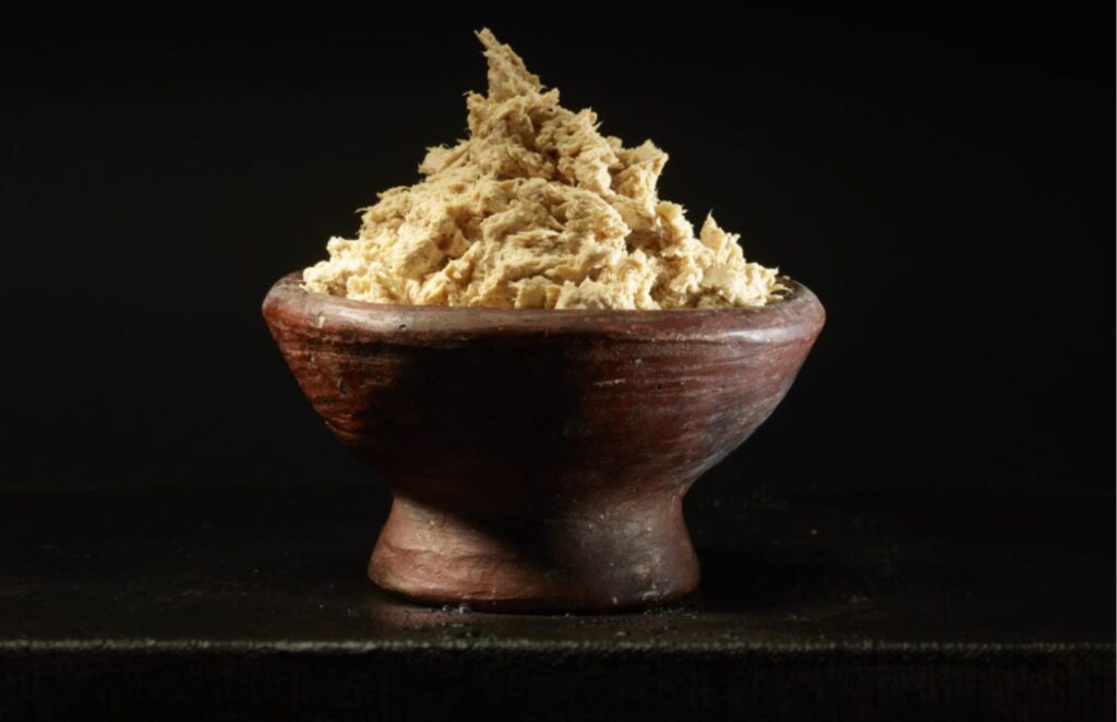 Better Meat’s Innovative Mycoprotein Process